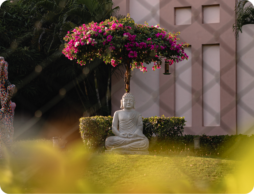 Admissions Open 2025 | Parul University